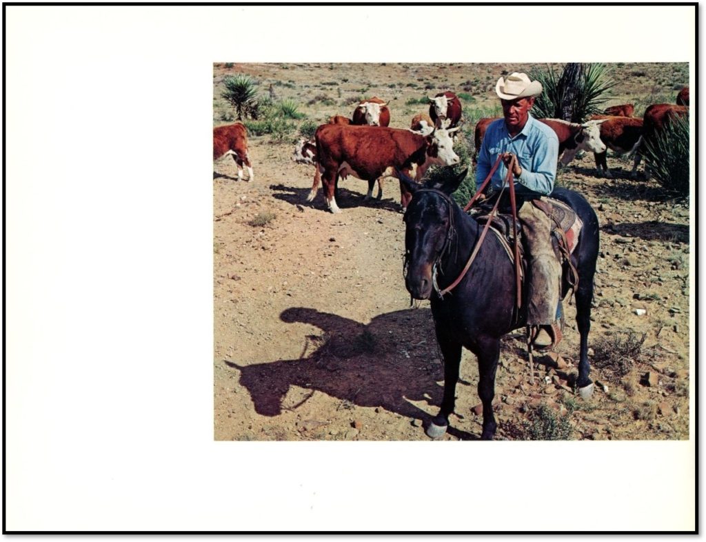 1973 – San Angelo Pamphlet – Goodfellow Then and Now